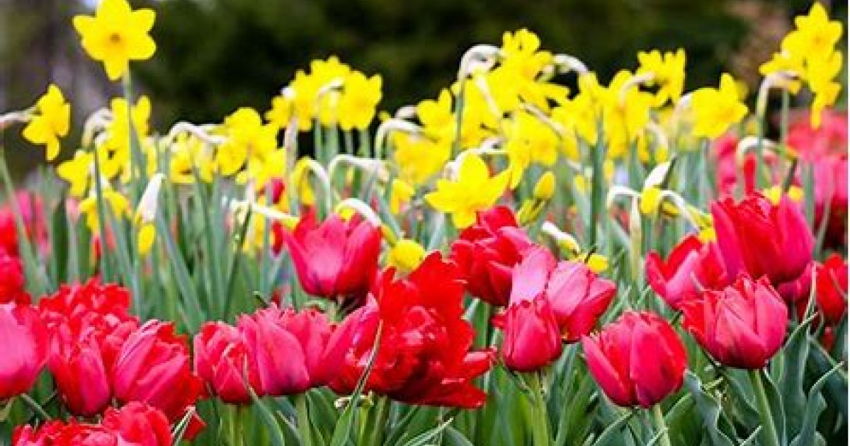 Spring Energy Tips | Citizens Utility Board