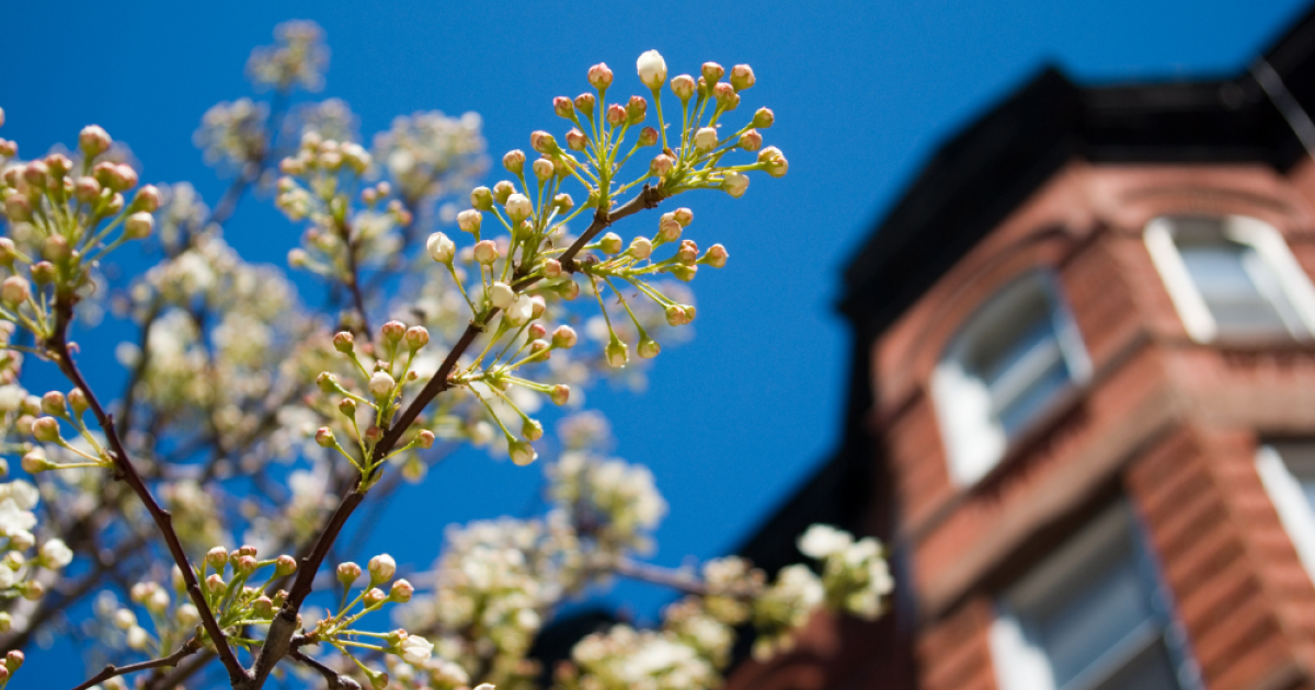 Spring into energy savings | Citizens Utility Board