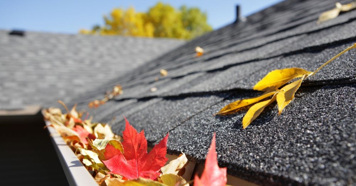 Fall offers opportunities for energy savings | Citizens Utility Board